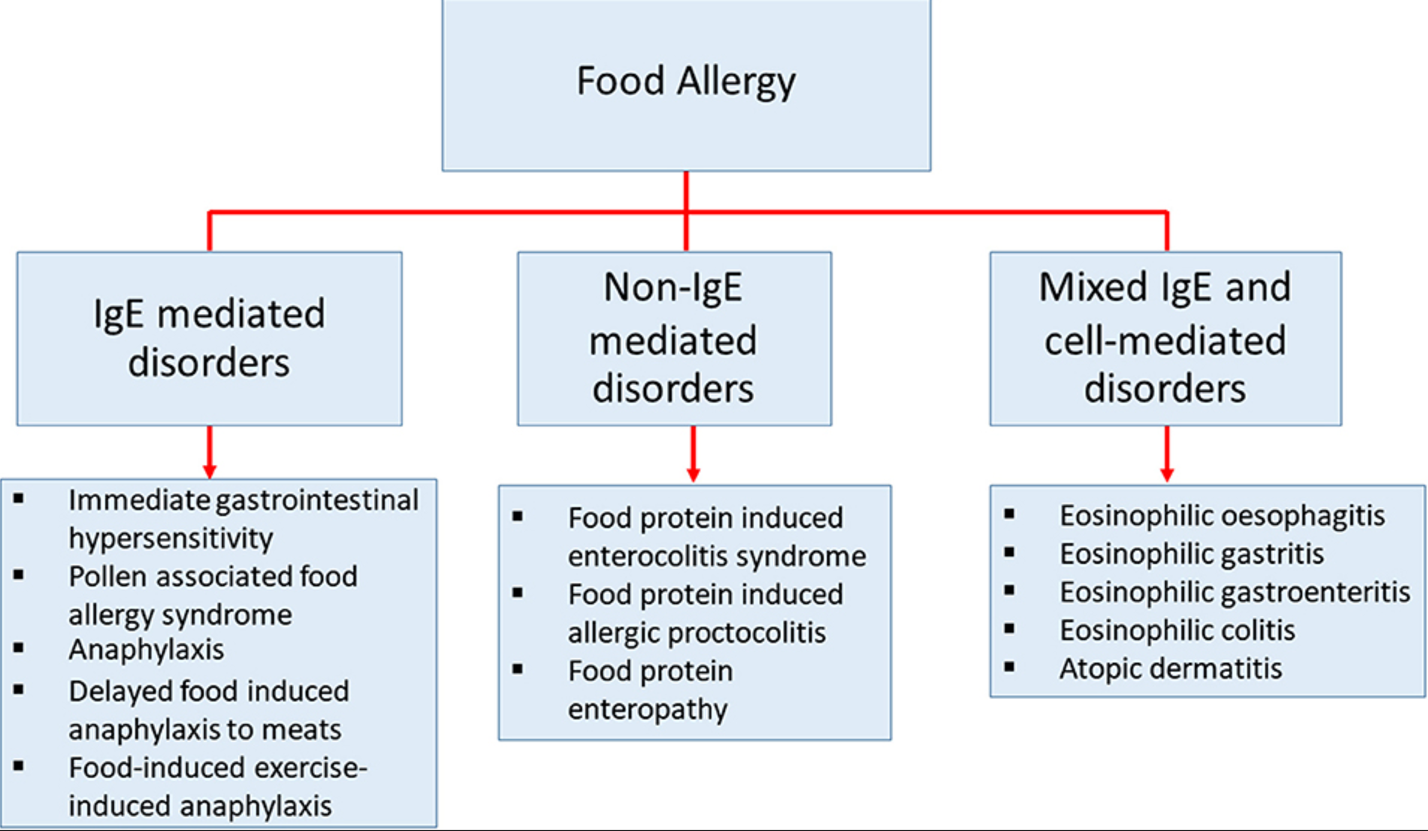 Food Allergy Perspective